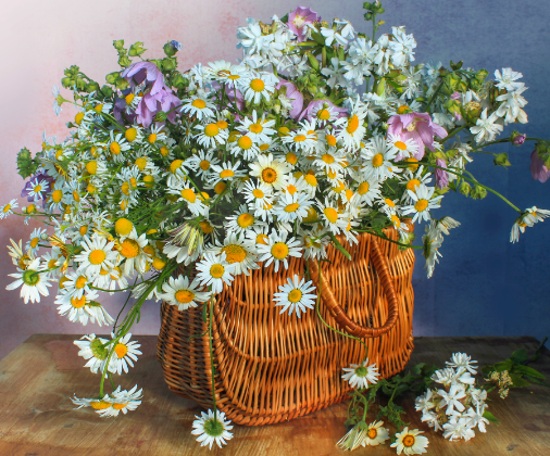 Jigsaw Puzzle Collection HD